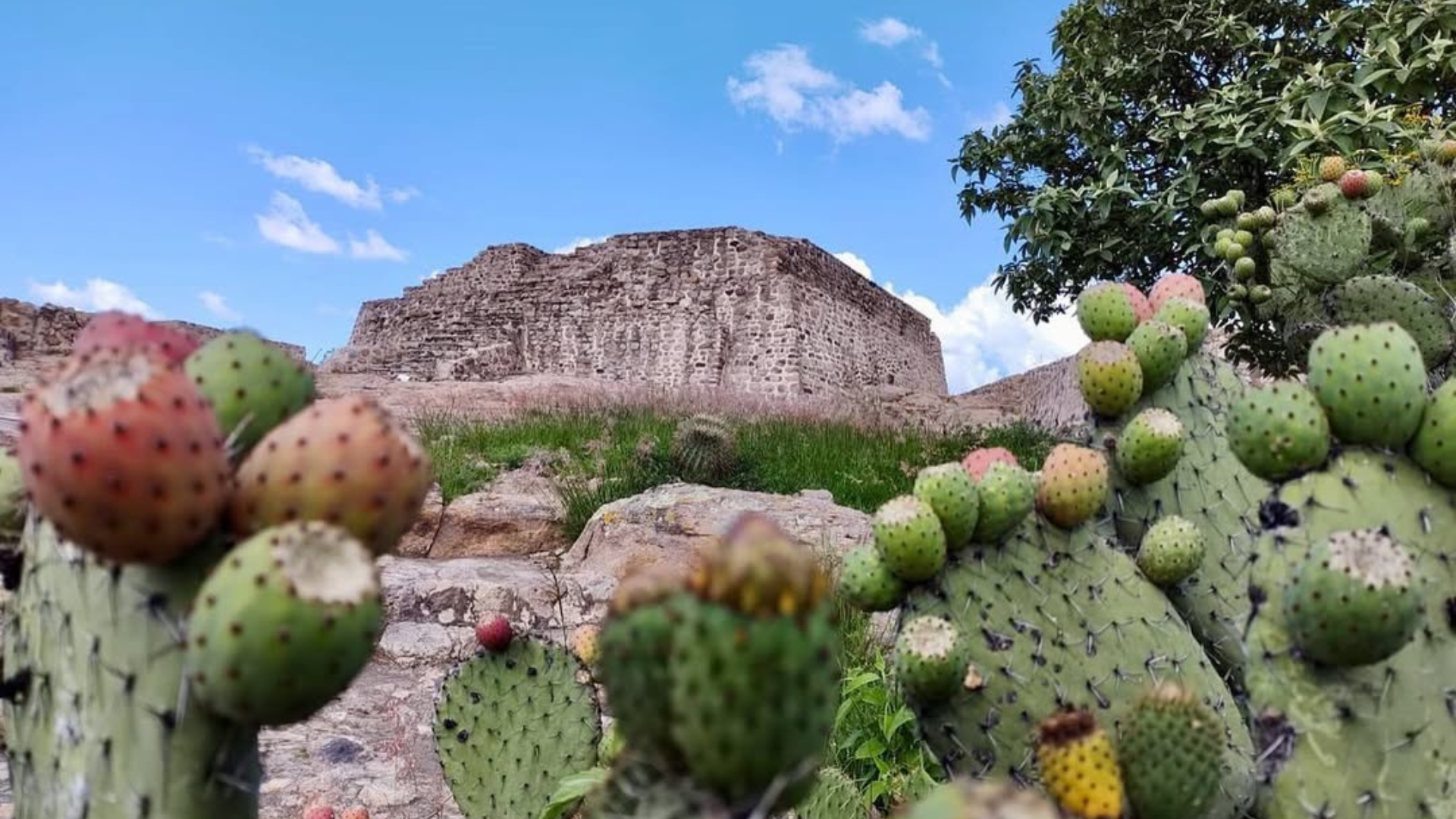 Cómo llegar a El Cóporo zona arqueológica de Guanajuato desde León