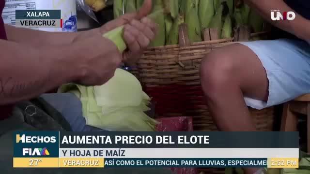 Sube el precio del elote en Veracruz ¿Cuánto aumentó?