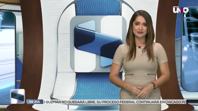 ¿Son peligrosos los x'cuclines? Conoce la labor de estos escarabajos en ...