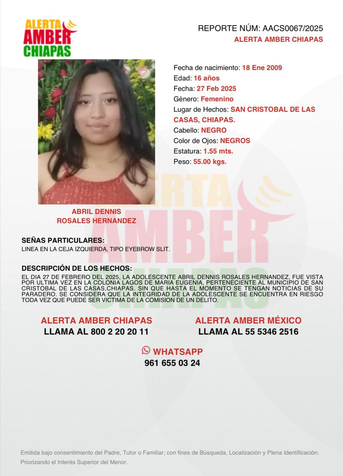 ALERTA AMBER CHIAPAS 2025: Abril Dennis desapareció en San Cristóbal de ...
