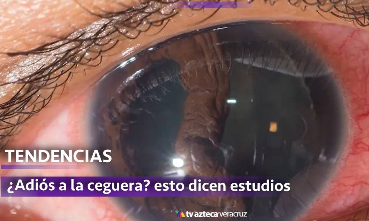 ¿Cuál es el descubrimiento que ayudará con problemas de la vista?