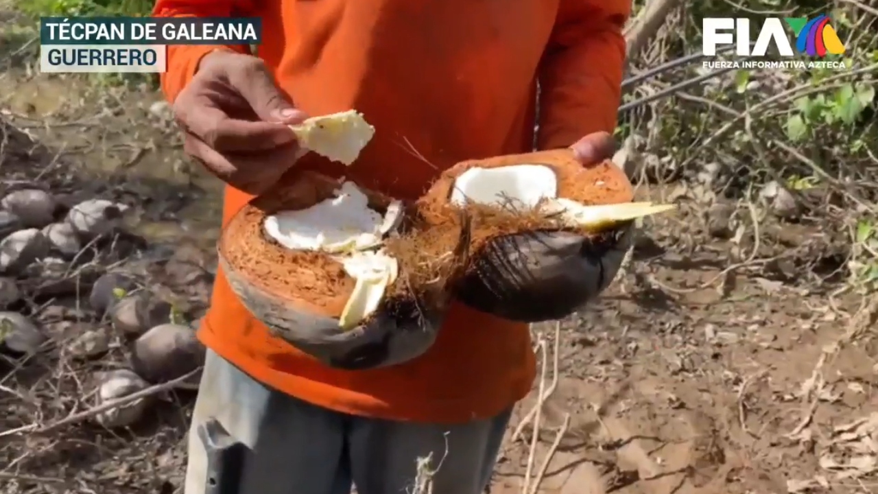 Comunidad de Guerrero sobrevive comiendo cocos tras el paso de tormenta ...
