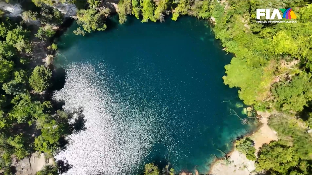 Descubre el enigmático Cenote del Cocodrilo Dorado en Quintana Roo