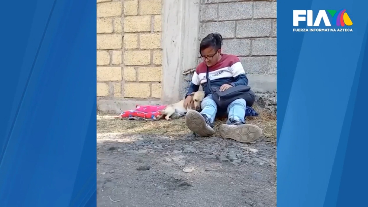 Lonas de propaganda electoral se transforman en camas para perros ...