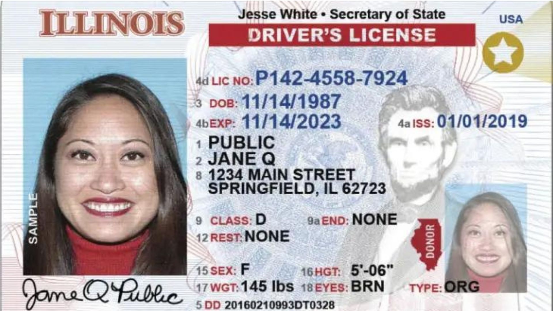 ¿Es obligatoria?: todo lo que debes saber sobre la Real ID en el 2025 ...