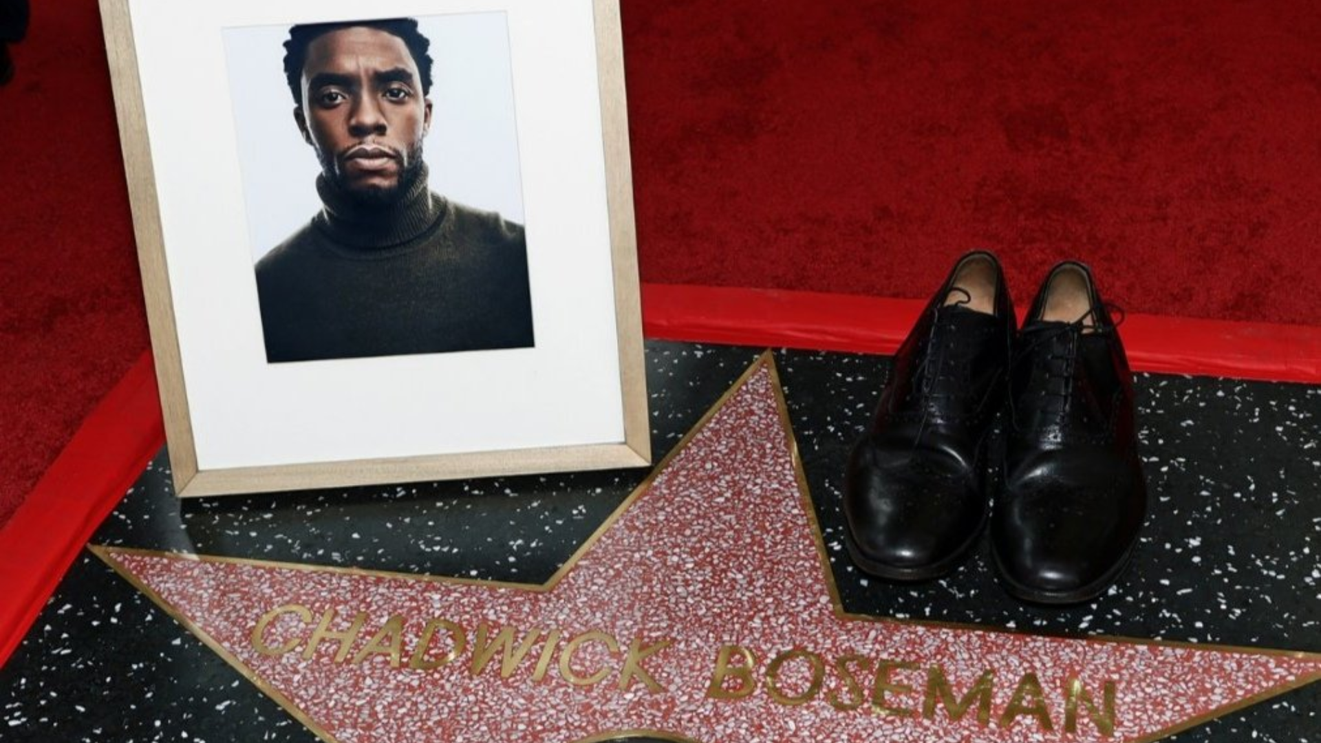 Chadwick Boseman recibe estrella póstuma en el Paseo de la Fama de ...