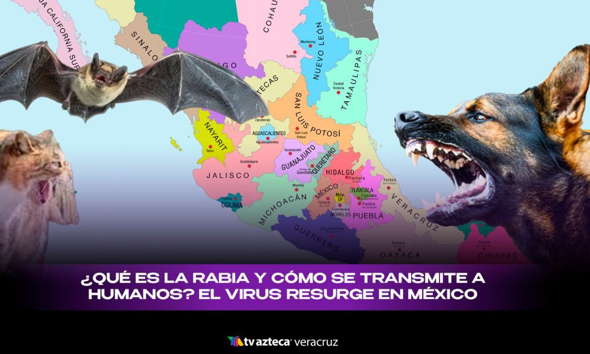 ¿Qué se sabe del caso de rabia humana en México?