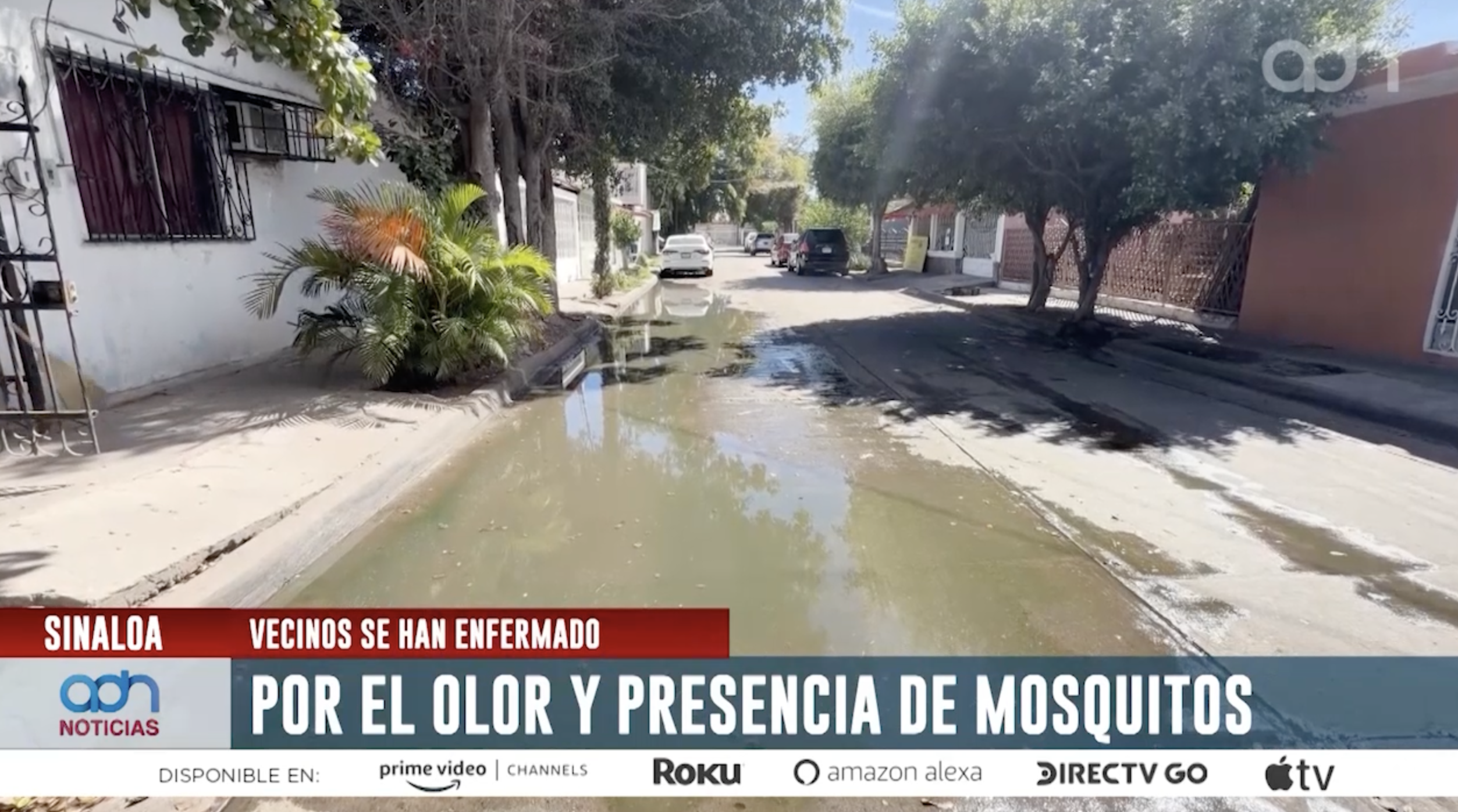 Aguas negras inundan las calles de la colonia Infonavit Macapule en Los ...