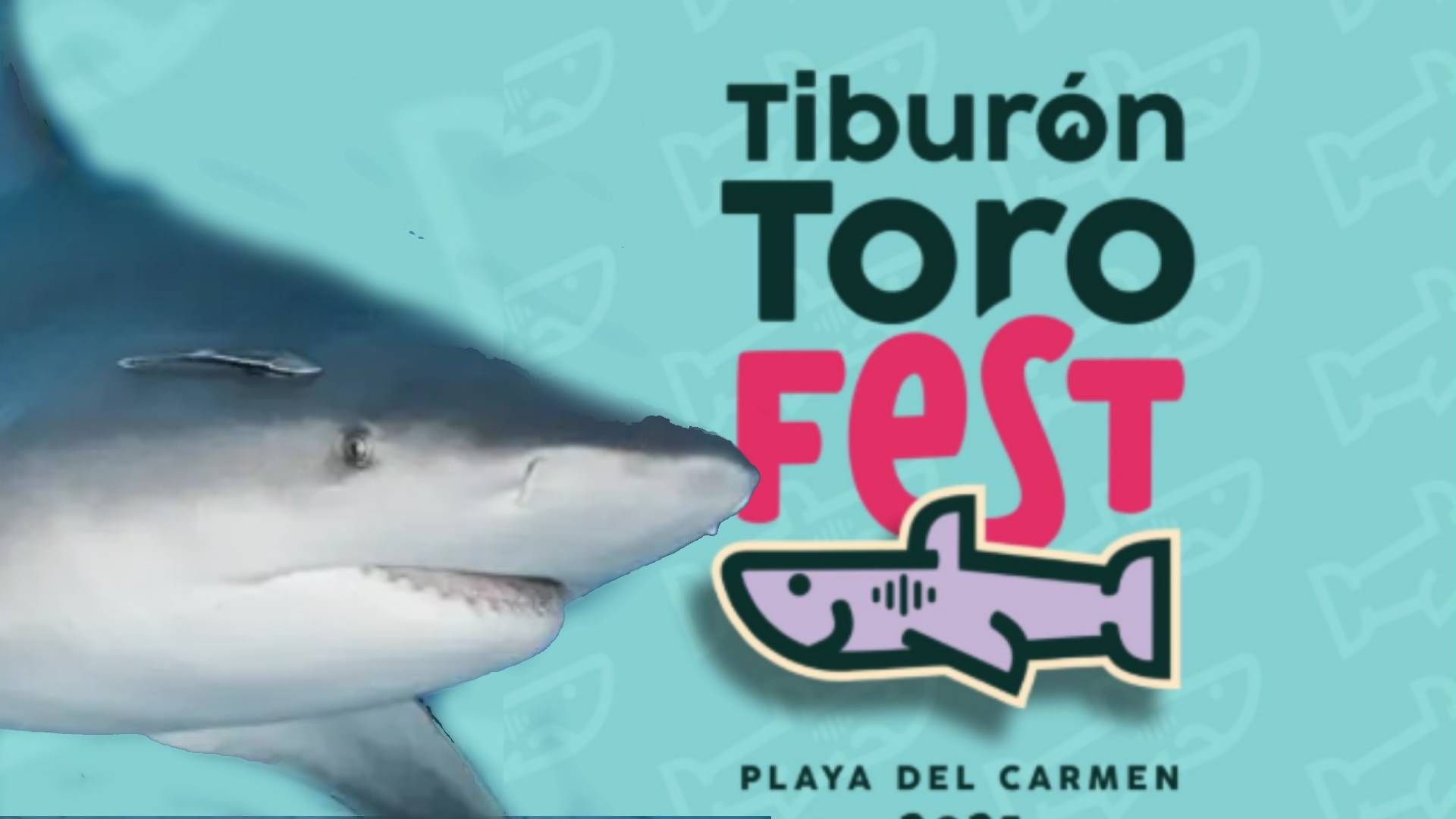 Tiburón Toro Fest 2025 en Playa del Carmen: Cuándo es, ubicación y ...