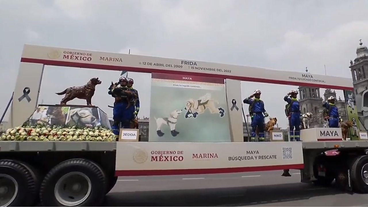 Rinden homenaje a Frida, la perrita rescatista de la Marina, durante el ...
