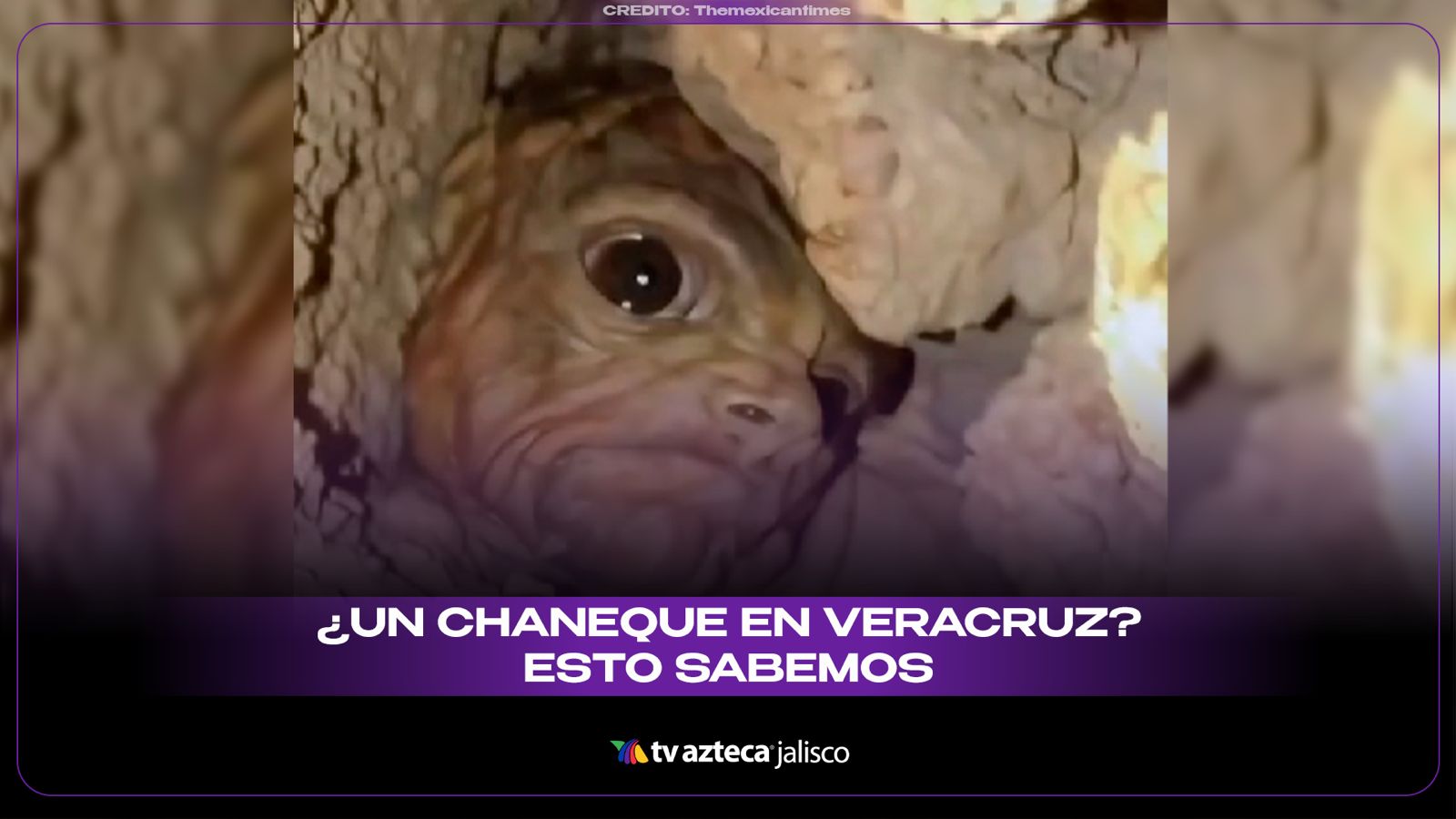VIDEO | Captan a misteriosa criatura en Veracruz; ¿es un chaneque?