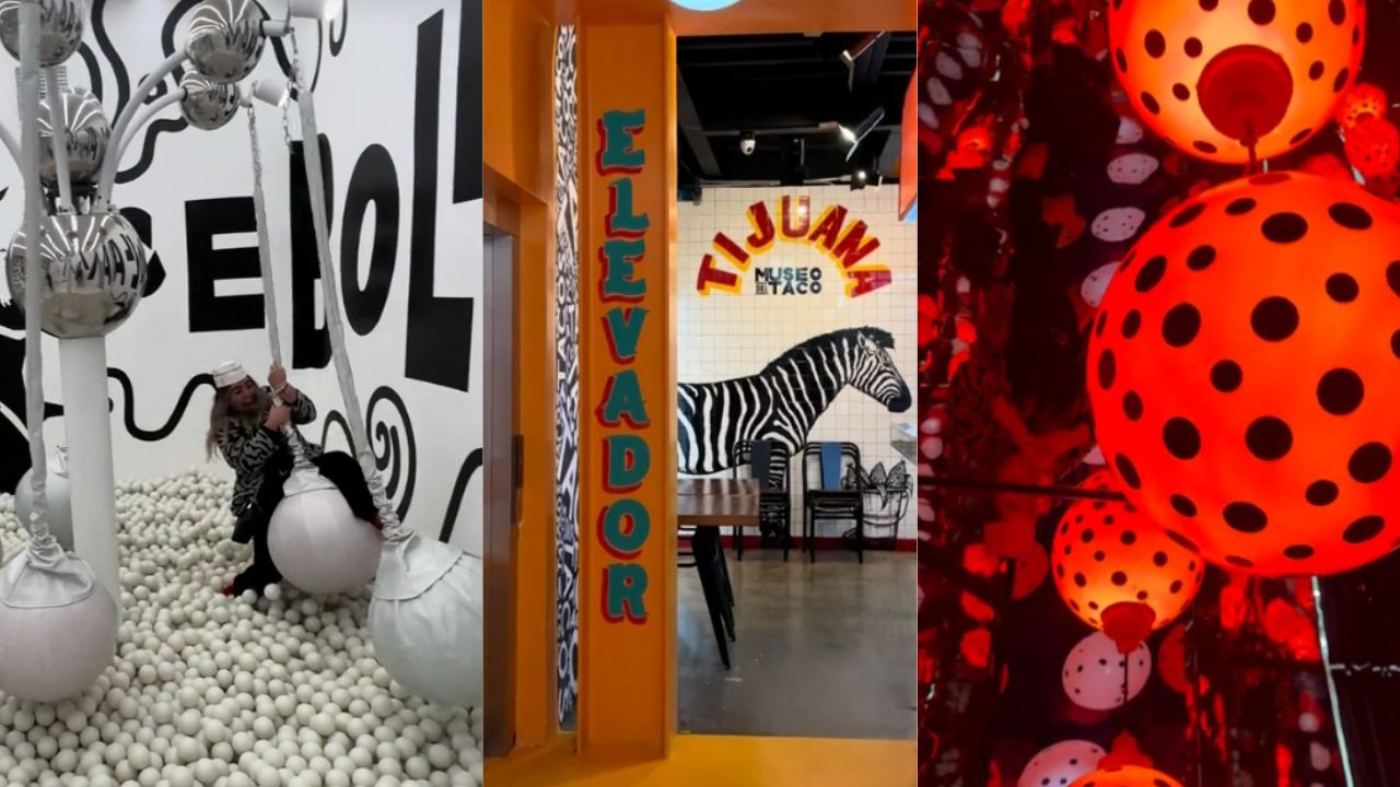 VIDEO: ¡Pásele! Así es por dentro el Museo del Taco en Tijuana 🌮