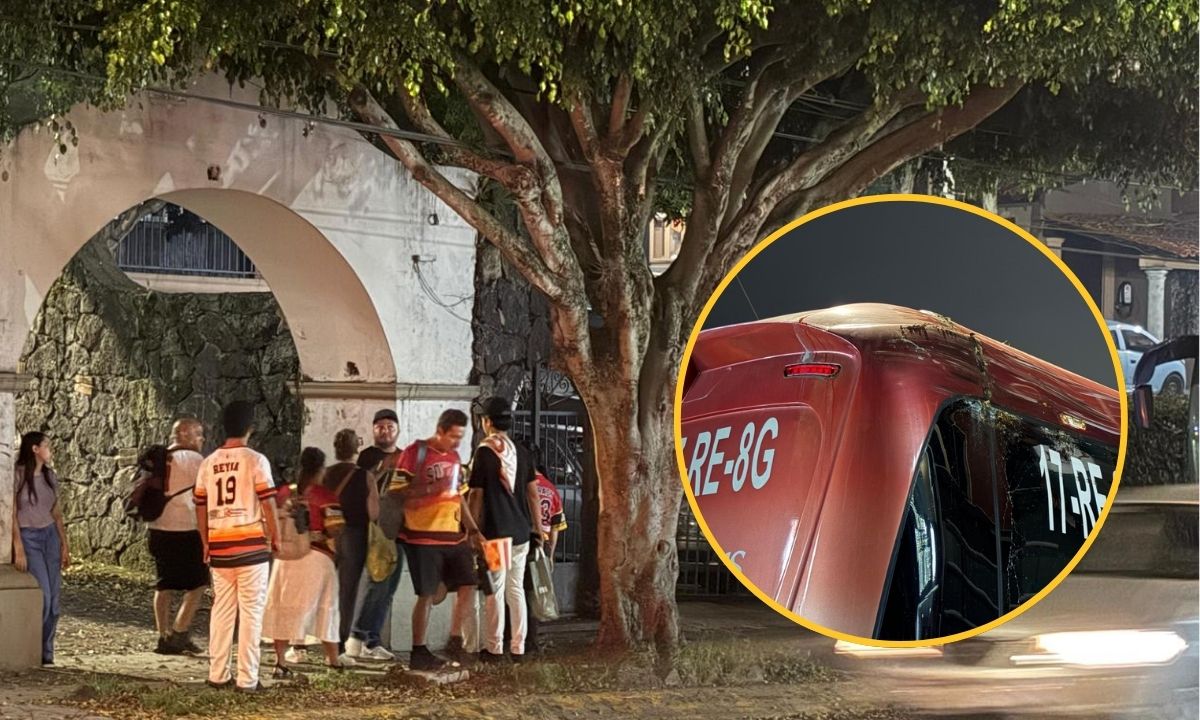 Conato de riña por daño a árbol emblemático de Xalapa 17 mayo 2026