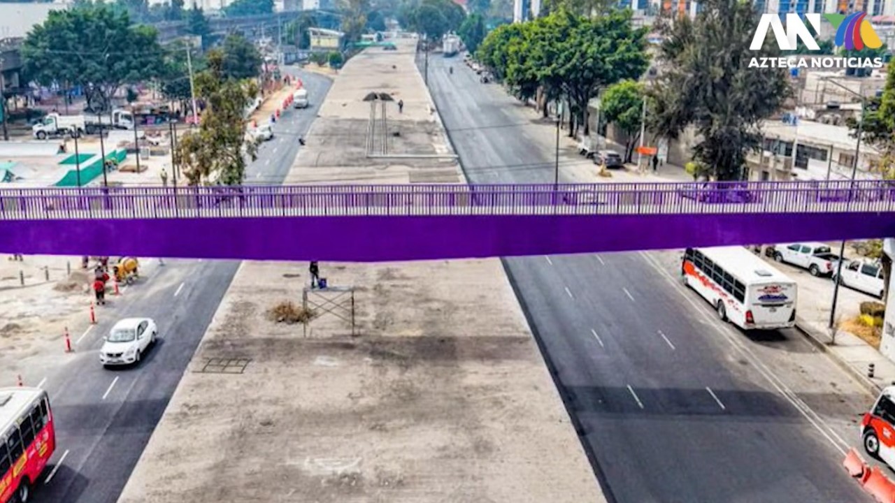 Puentes en morado y señales con ajolotes: expertos advierten riesgos en ...