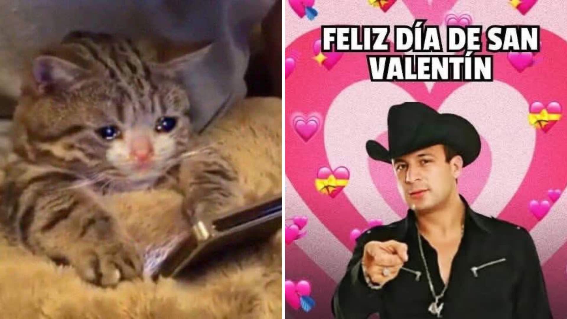 ¿Cuáles son los mejores memes del 14 de febrero?