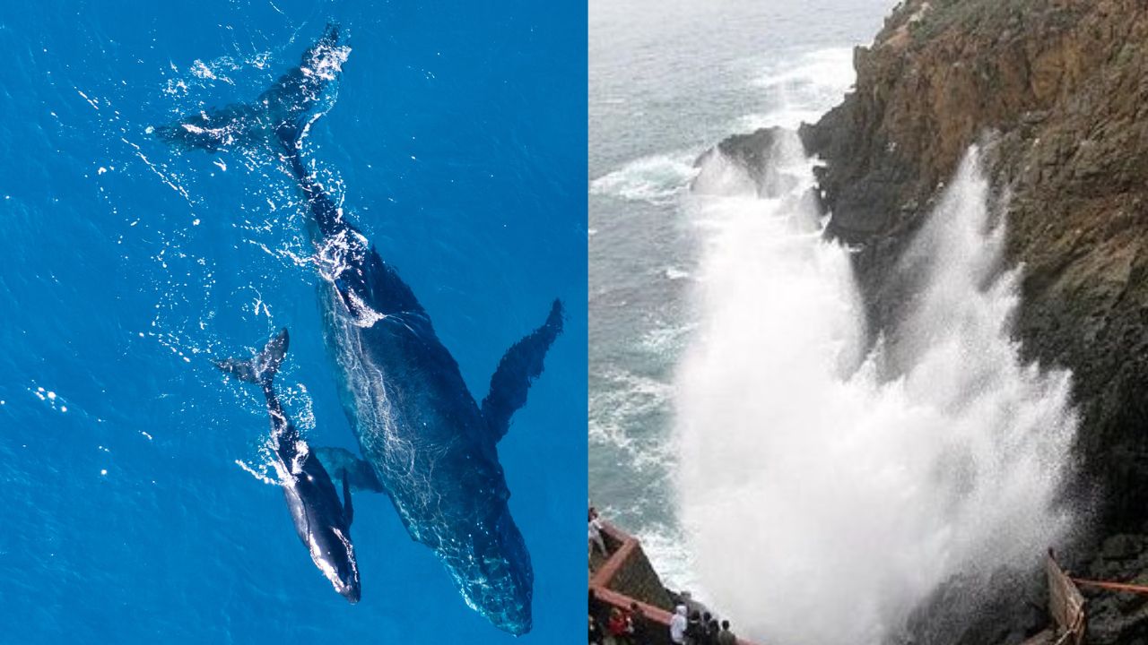 Bufadora de Ensenada: Leyenda, origen y mitos sobre lo que pasó