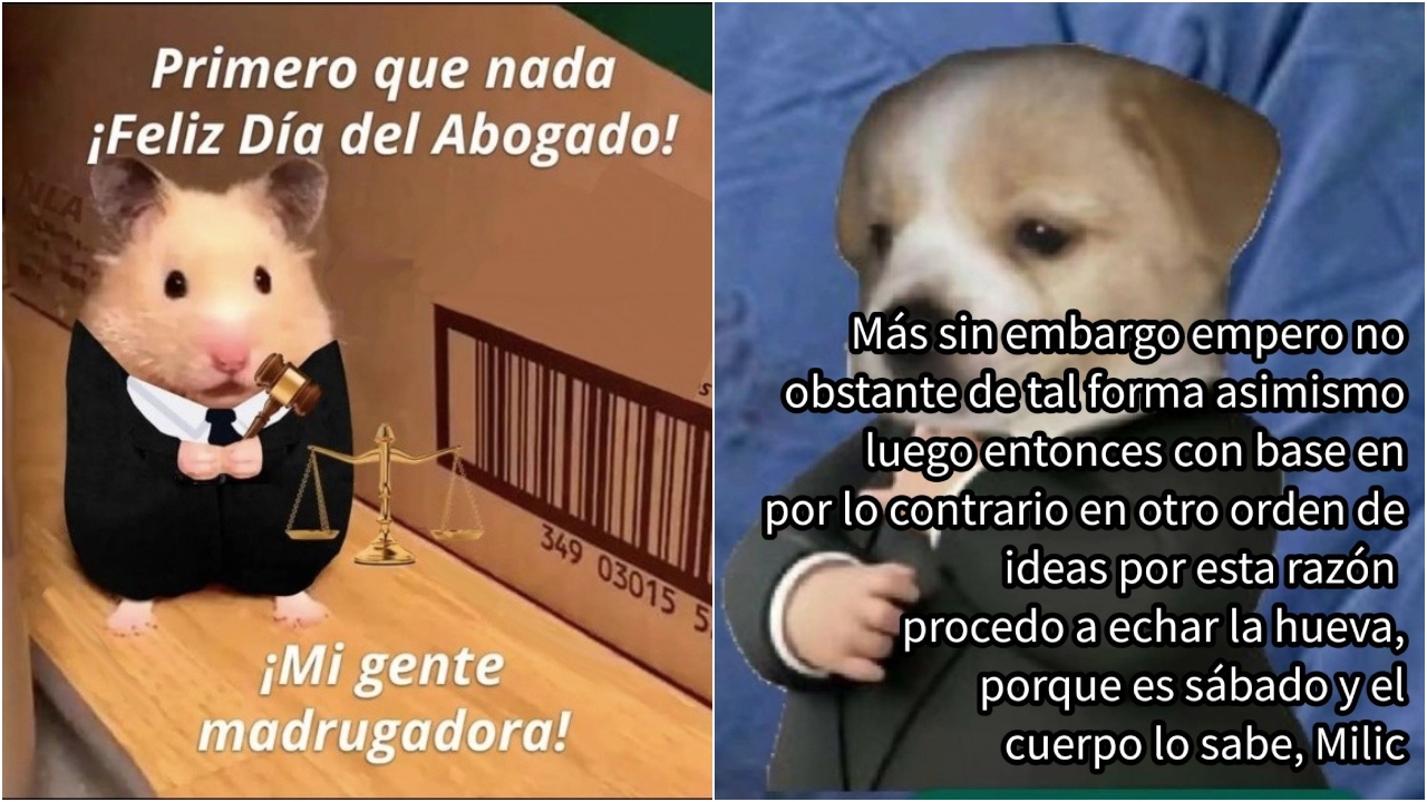 Día del Abogado 2024: Los mejores memes para felicitar hoy 12 de julio