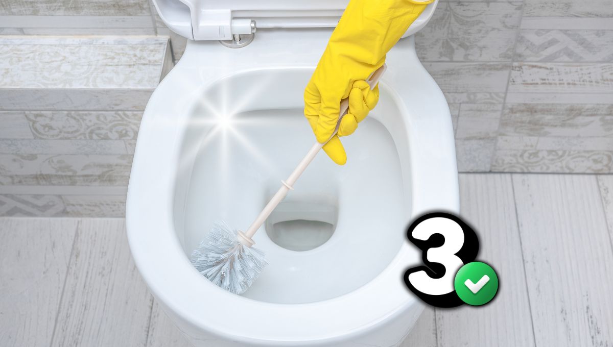 ¿Cómo eliminar para siempre el sarro del excusado con solo 3 ...