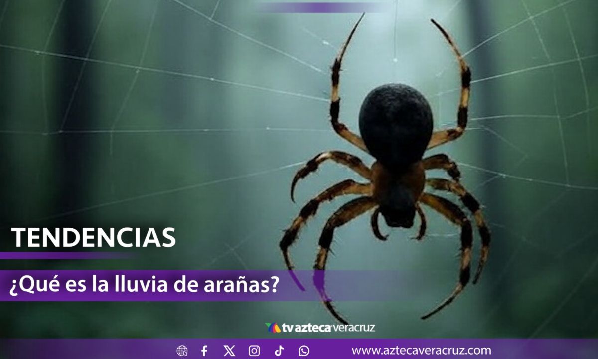 ¿Qué es la lluvia de arañas? Esto debes conocer del extraño fenómeno