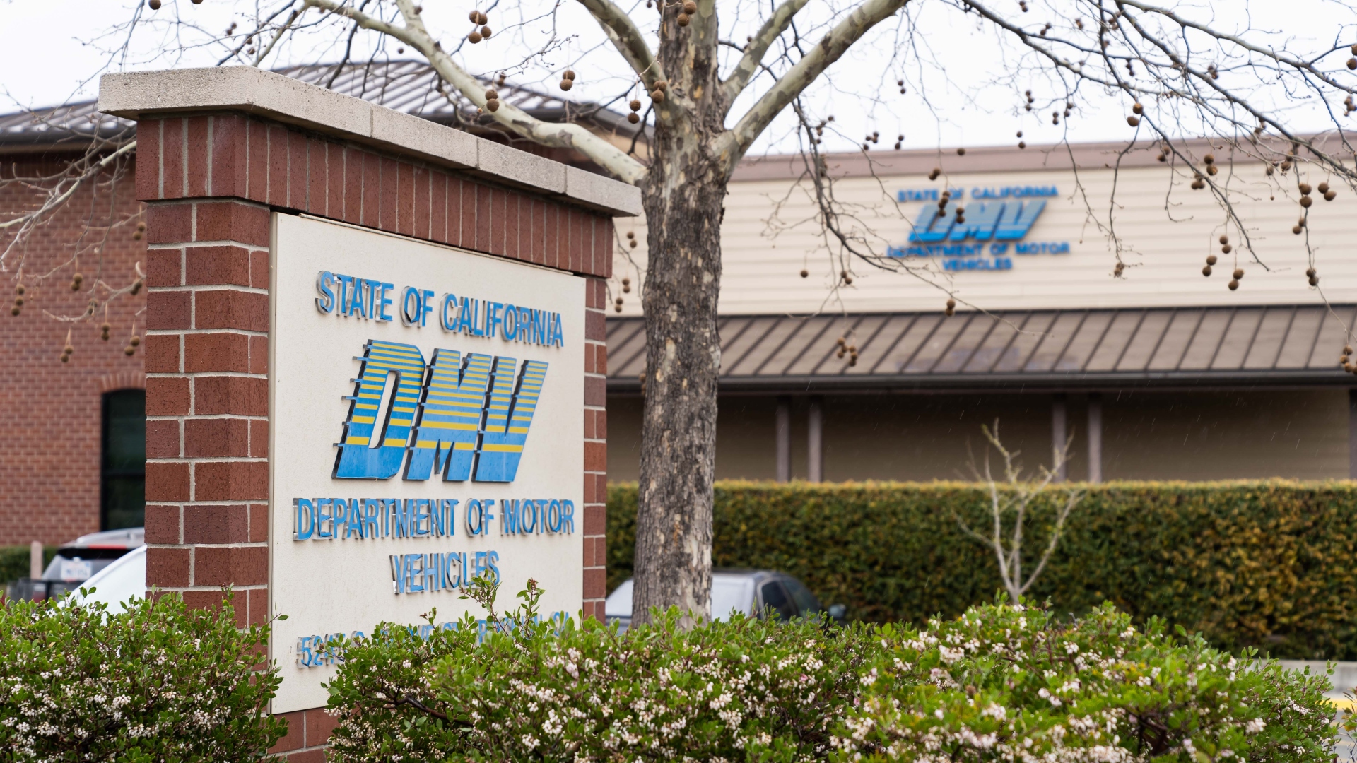 La recomendación del DMV en California para no fallar el examen de la ...