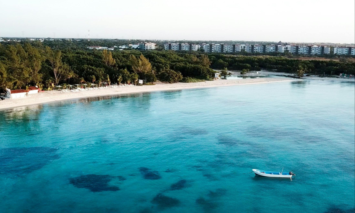 Estas son las playas de Yucatán con los peces más lindos, según la IA