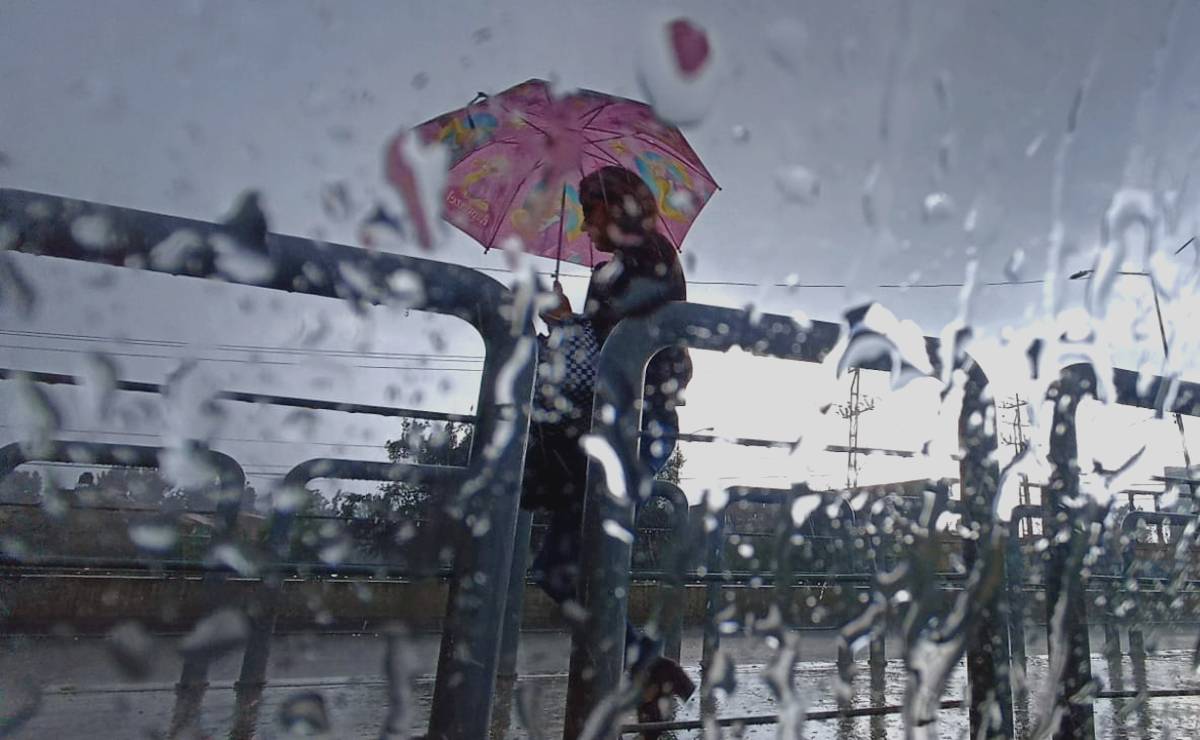Clima en León, Guanajuato por horas hoy 25 de julio del 2024