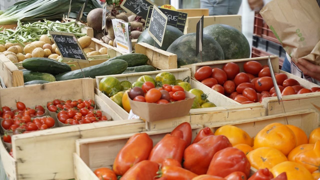 Precio de la canasta básica en México para julio 2025: Lista de costos ...