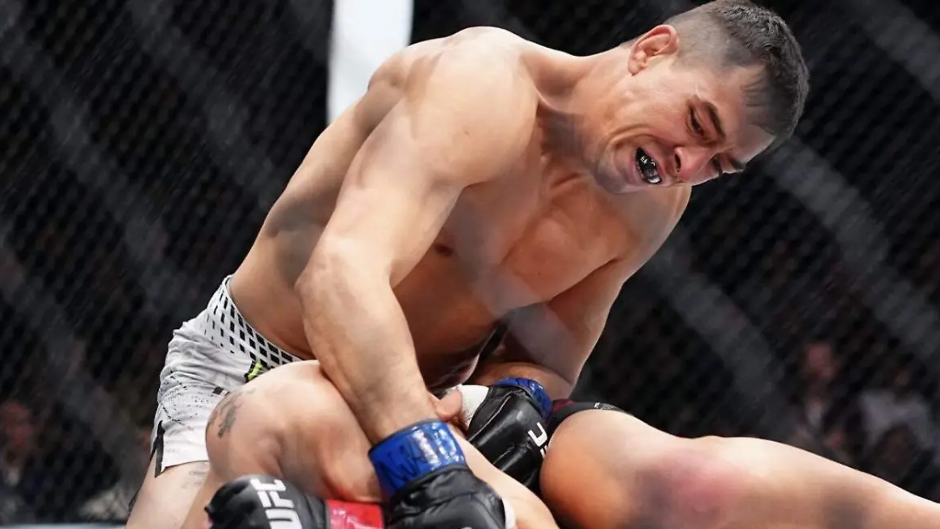 Manuel "Loco" Torres irrumpe en el top mundial de la UFC y coloca a ...