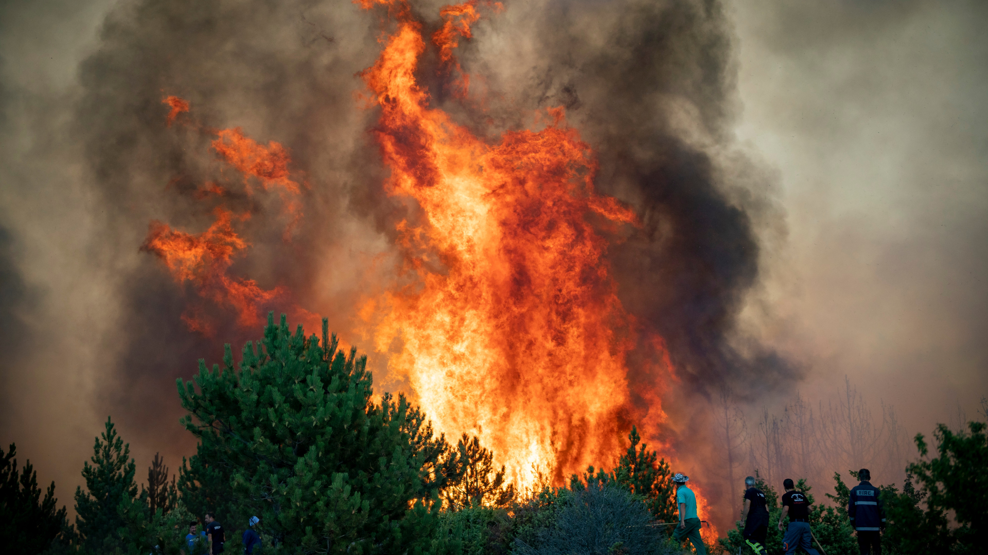 Incendio de pipa de gas en Ascensión–Ciudad Juárez: tráfego ya reactivado