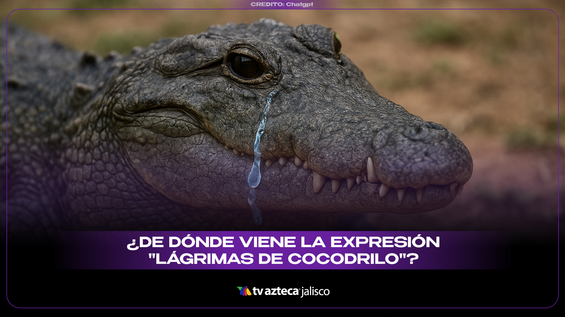 ¿De dónde viene la expresión "lágrimas de cocodrilo" y cuál es su ...