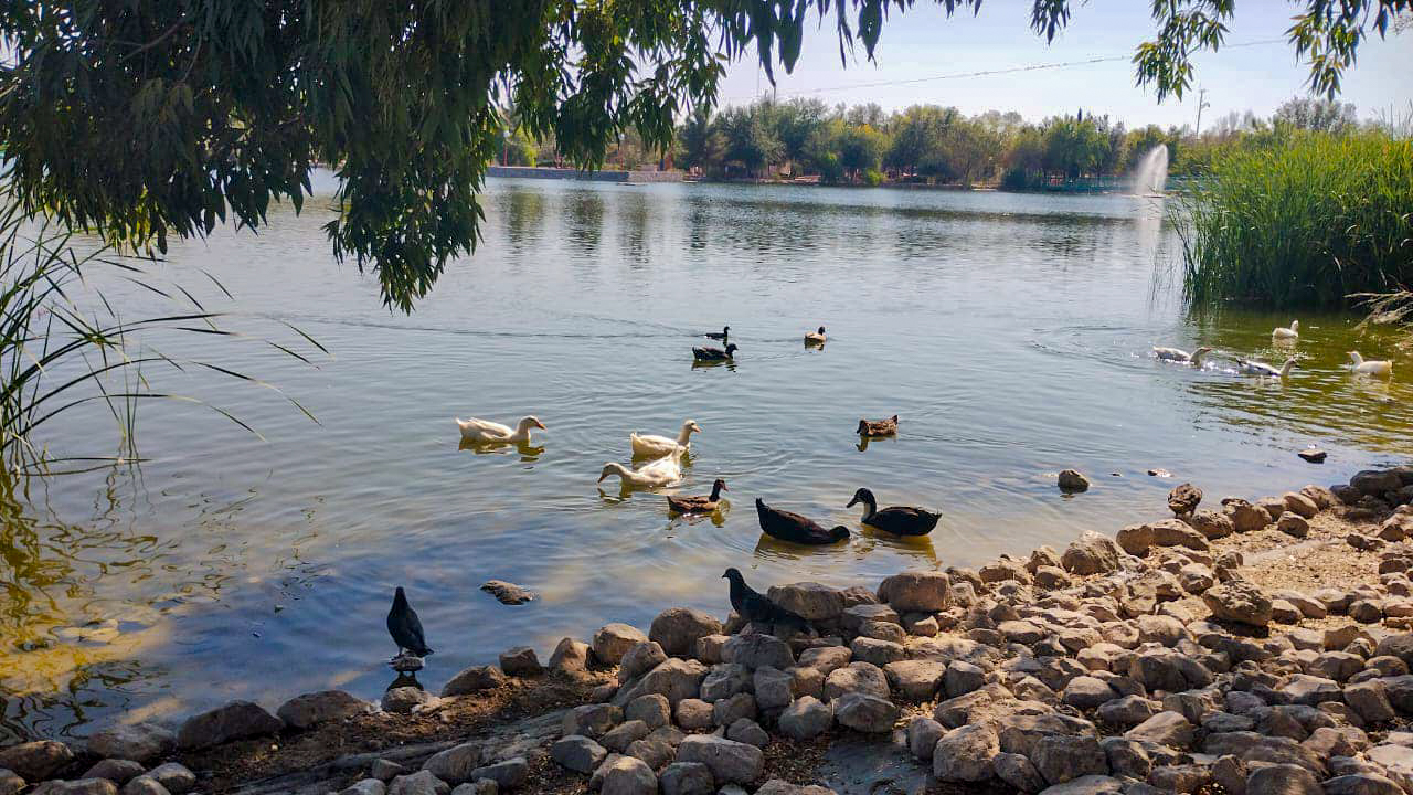 Construcción de cascadas artificiales en el Parque Central