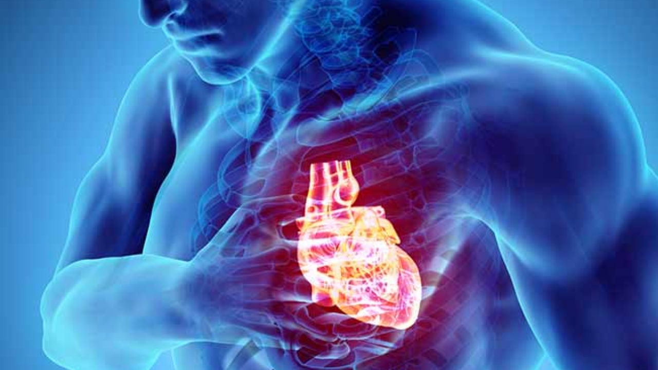 Los factores que llevan a un colapso cardiovascular: La causa de muerte ...