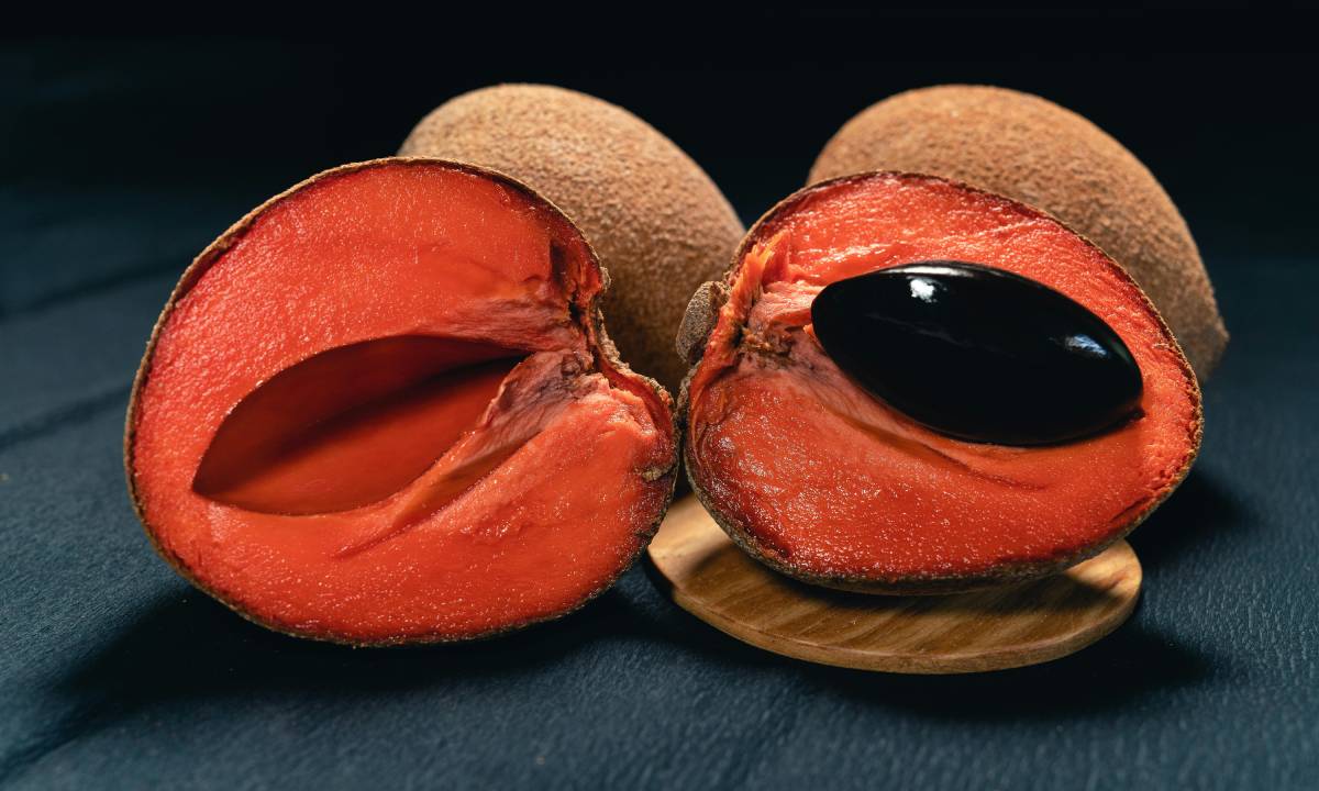 ¿Cuáles son los beneficios de consumir mamey en Veracruz?
