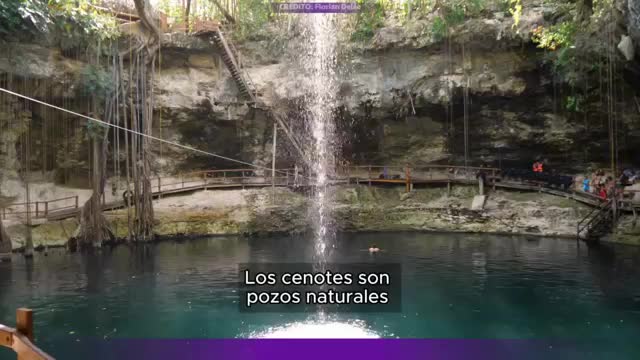 Cenotes: ¿Qué son y por qué hay tantos en México?