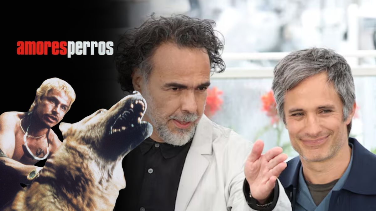 Amores Perros: anuncia su reestreno en cines tras el aniversario de 25 años