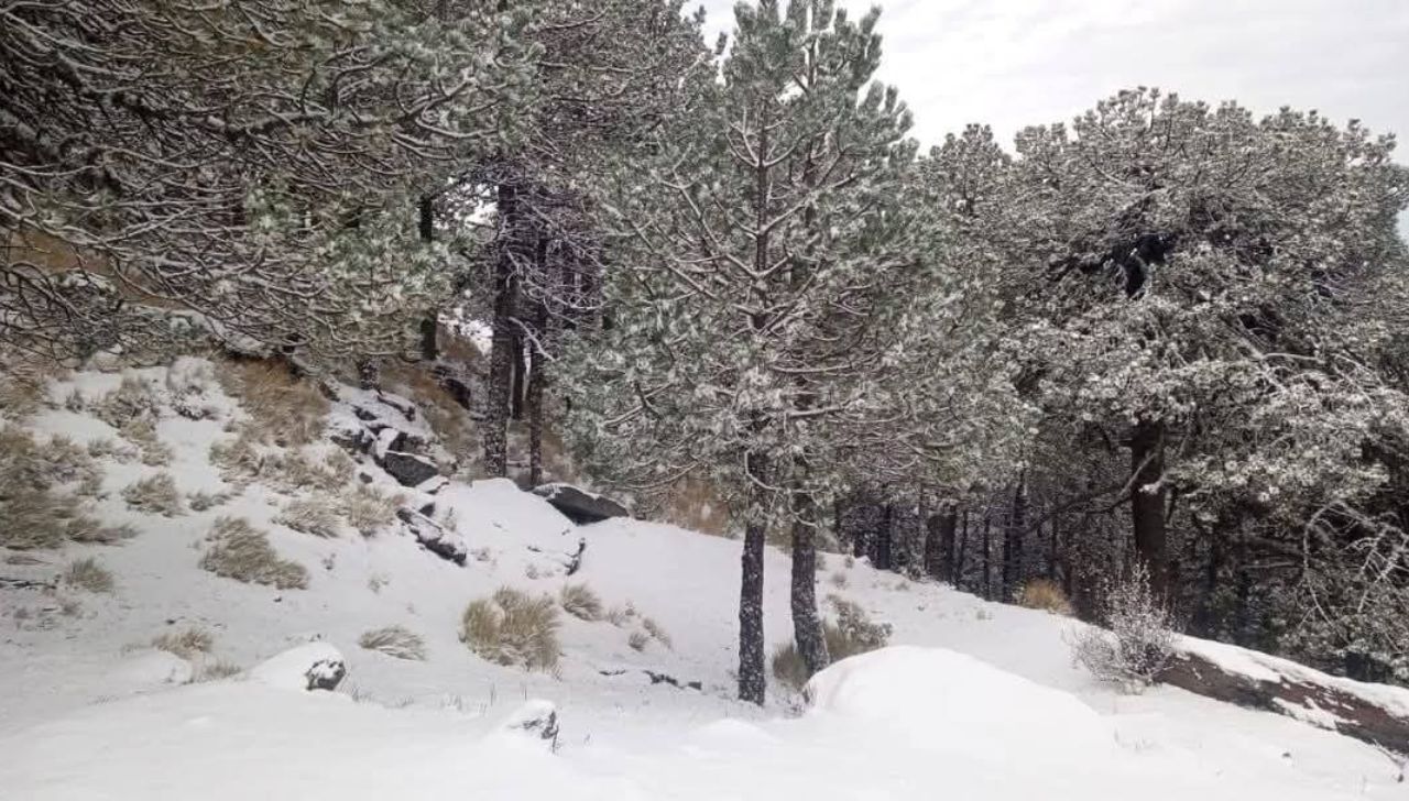 Así fue la primera nevada en Cofre de Perote Veracruz