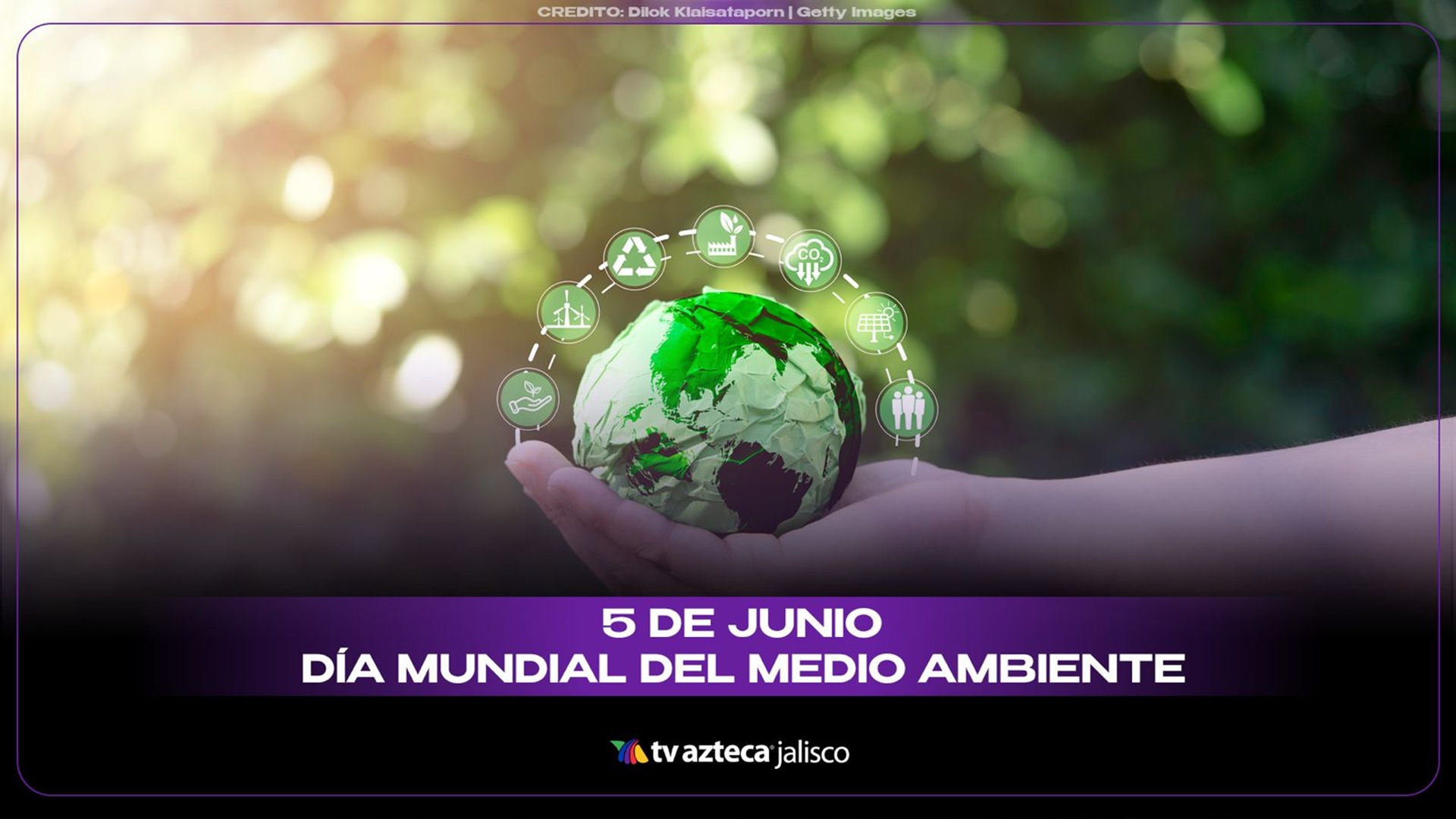 Día Mundial del Medio Ambiente: significado y acciones para cuidar el ...