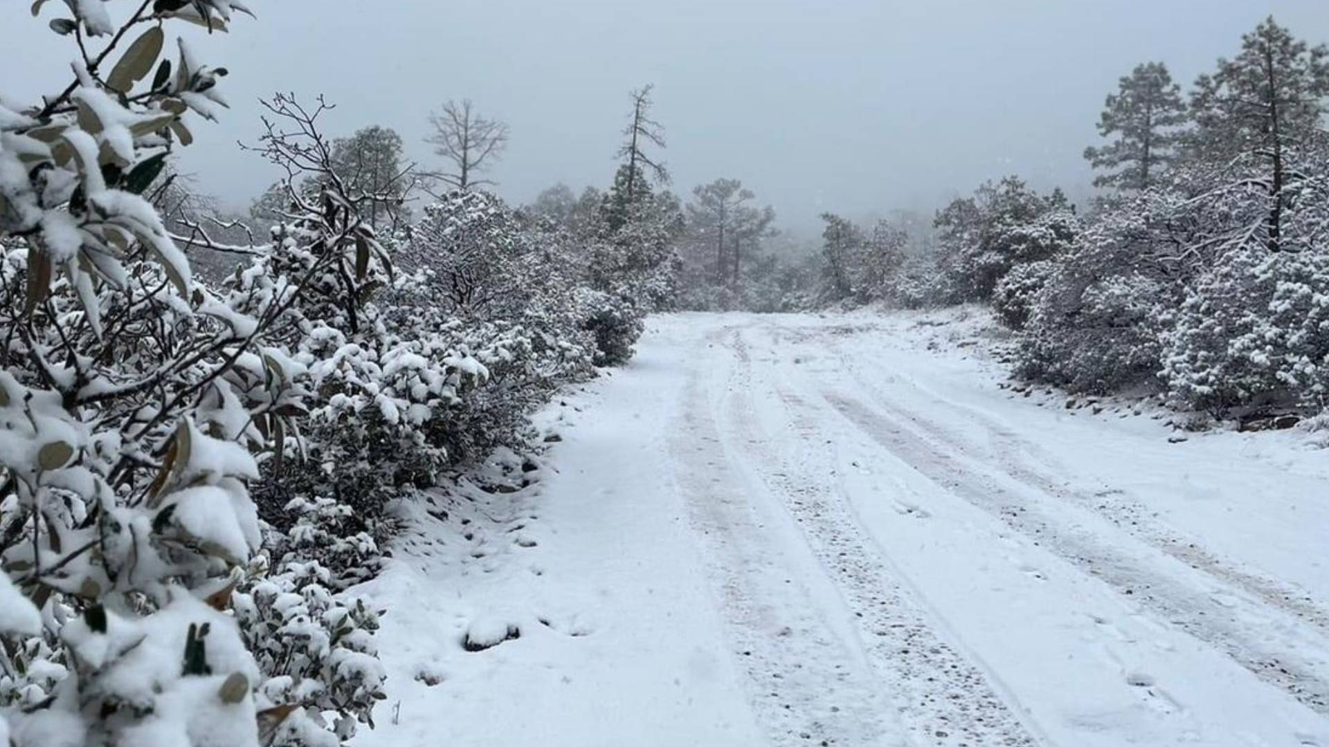 Los lugares en Chihuahua para disfrutar de la nieve durante la temporada invernal