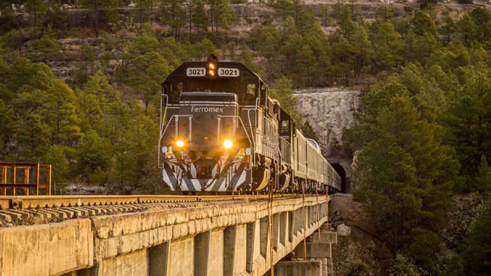 Viajar en el Tren Chepe en verano 2025: conoce las tarifas por ruta y ...