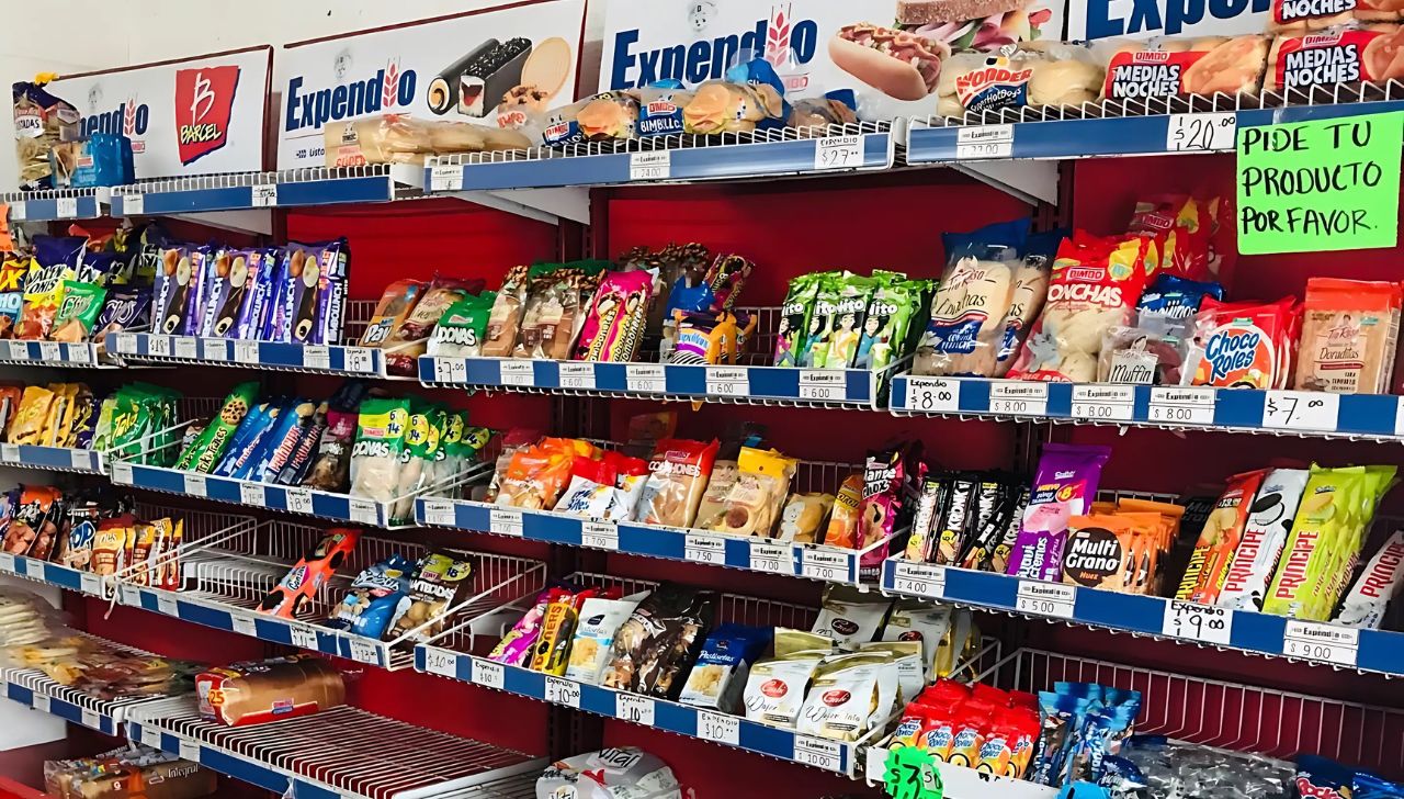 Cómo abrir un expendio de Bimbo y obtener grandes ganancias este 2025 ...