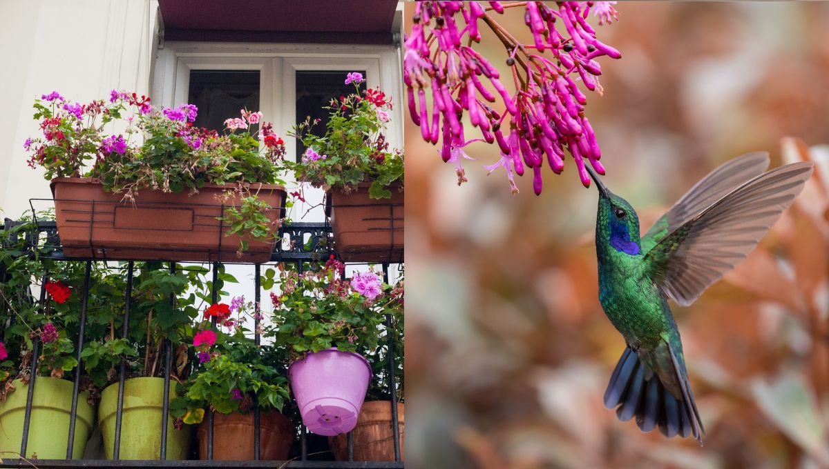 Este es el secreto para convertir tu balcón o jardín en un santuario de ...