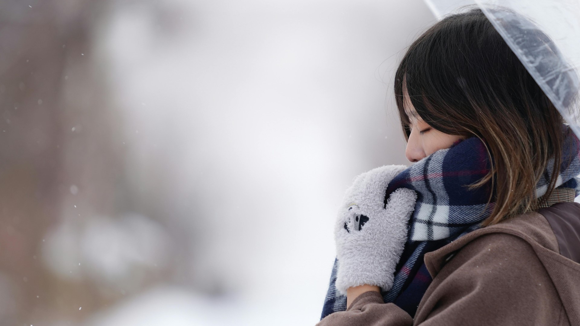 Clima hoy Jalisco: Estas serán las temperaturas en el área ...