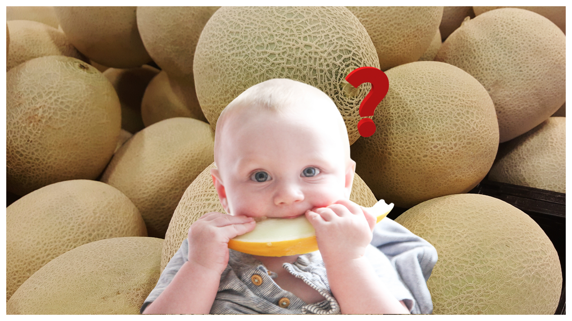 La próxima vez que comas melón, te aterrará saber qué significa esa ...