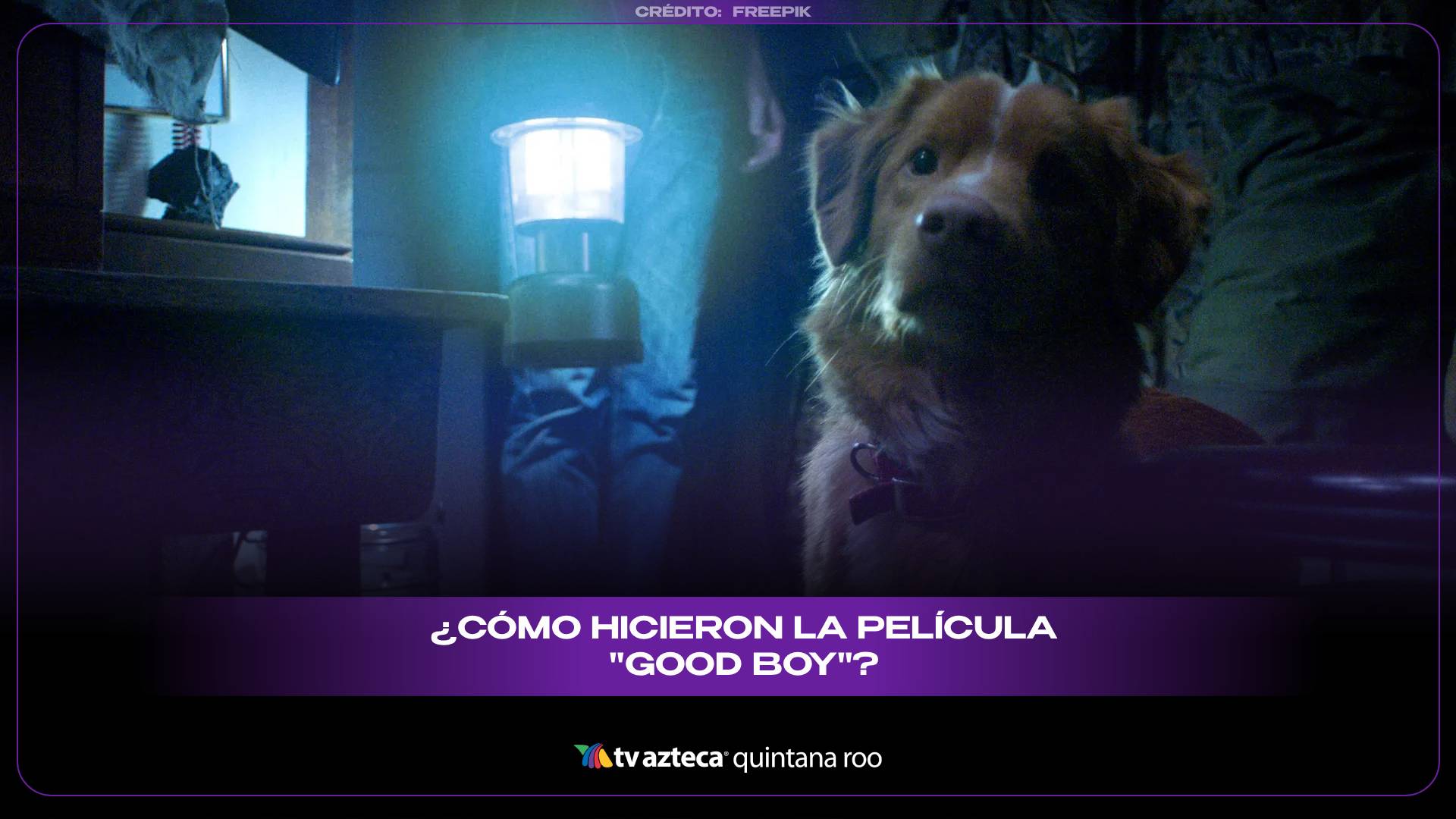 ¿Cómo hicieron 'Good Boy"? La película de terror vista desde un perro