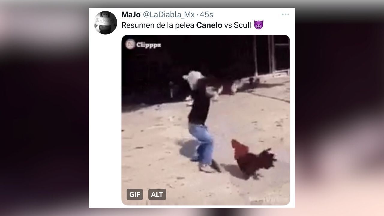 Mejores memes que dejó la pelea de Canelo' Álvarez y William Scull