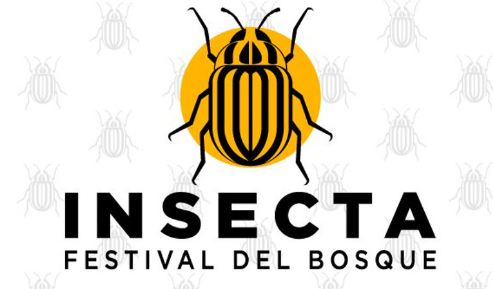 Esto es todo lo que debes de saber sobre el Festival de insectos en la CDMX