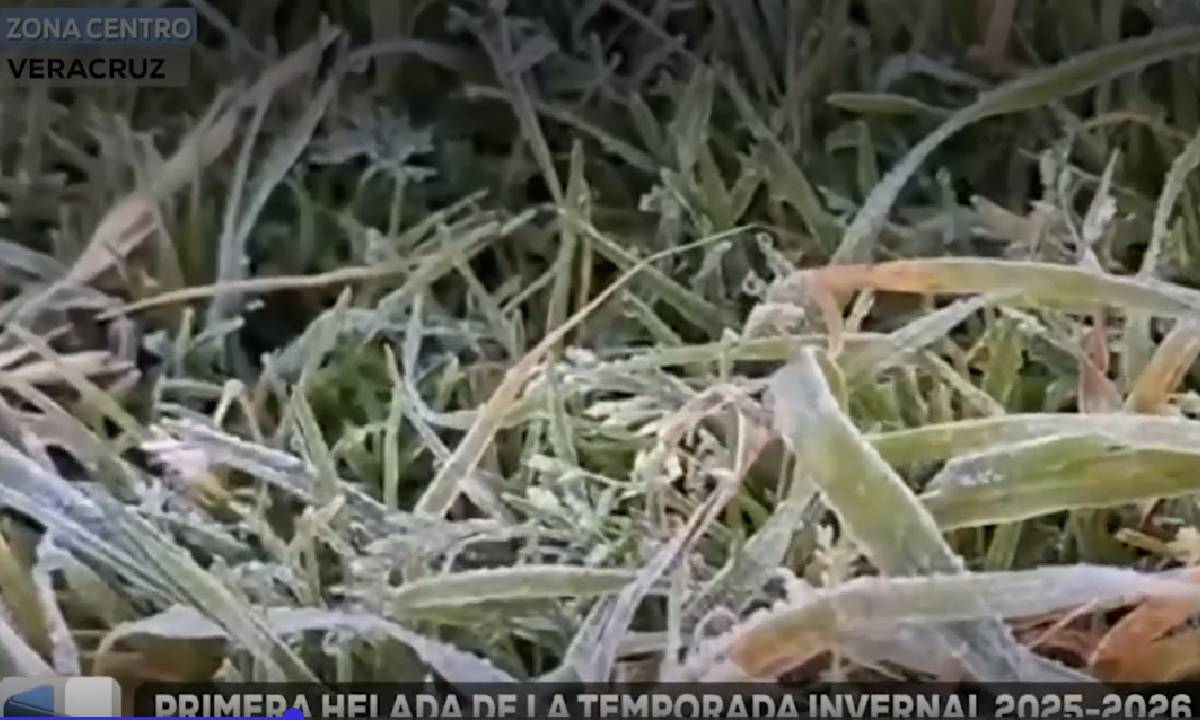 ¿Cuándo comenzará a disminuir la temperatura en Veracruz tras primera ...