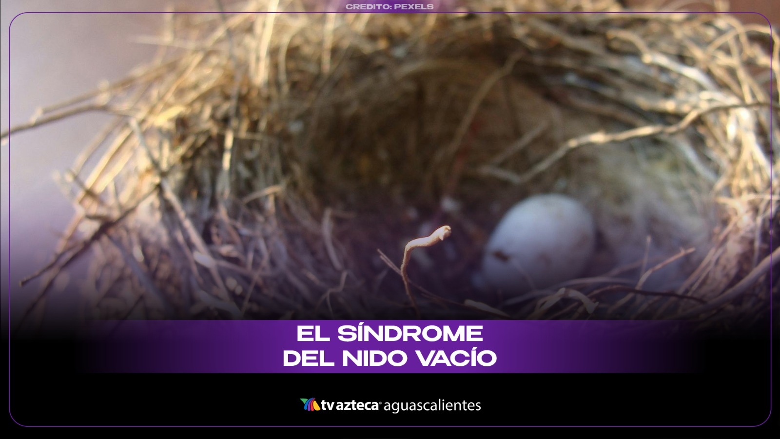 Qué es el síndrome del nido vacío y cómo afecta emocionalmente a los padres