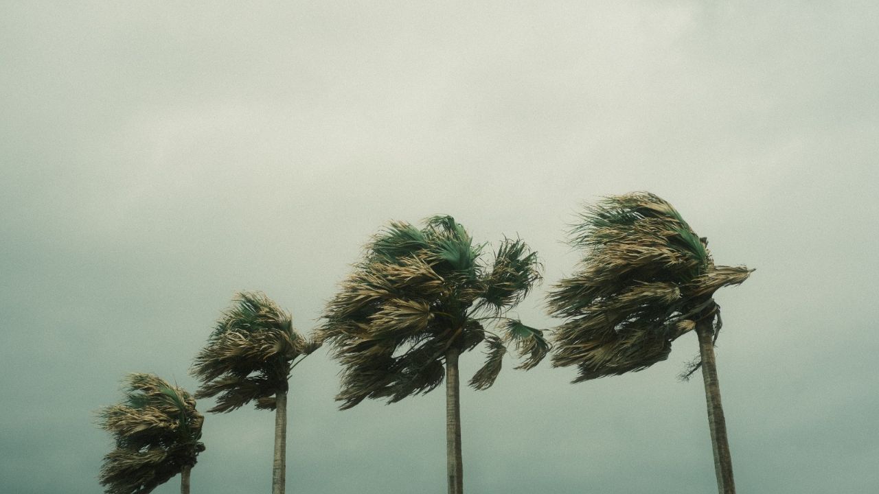 Tormenta tropical “Tammy”: Trayectoria, estados afectados y más