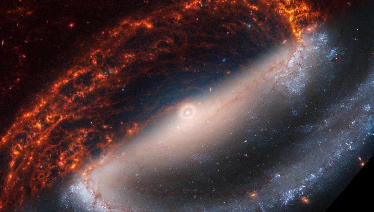 14 de febrero: NASA revela rosa cósmica como regalo de San Valentín